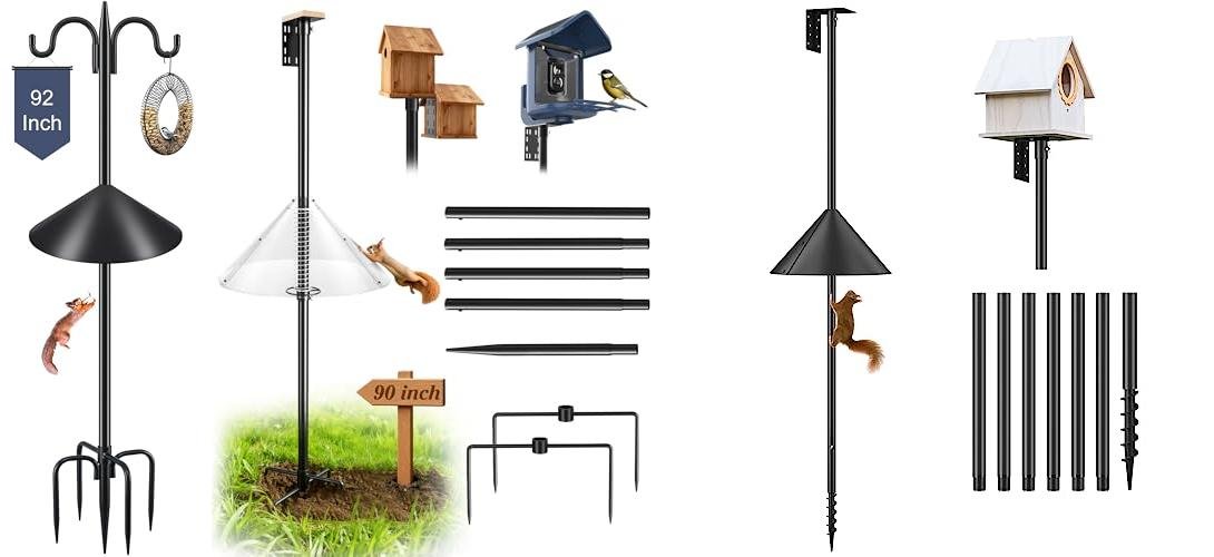 Best Bird Feeder Pole With Squirrel Baffle - Top 5 Picks & Review