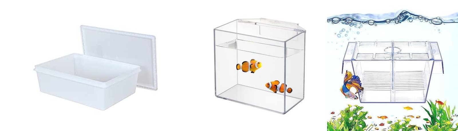 Top 5 Fish Boxes: Your Essential Buying Guide